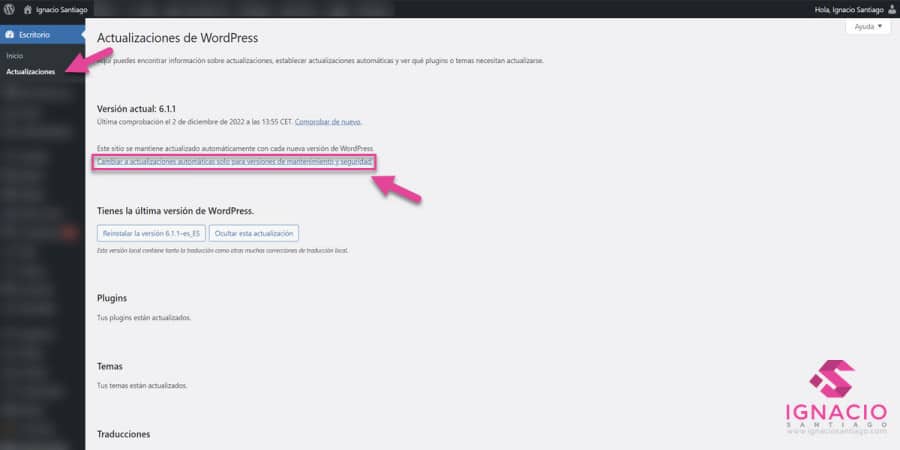 Cómo Desactivar Actualizaciones Automáticas en WordPress